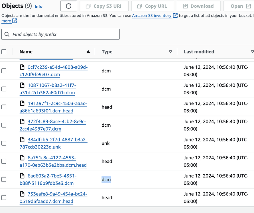 Downloading files from S3 plugin and using it - General - Orthanc Users